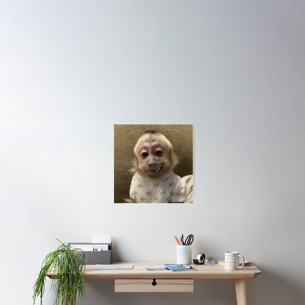 "monkey meme" Sticker by sofiaguida | Redbubble