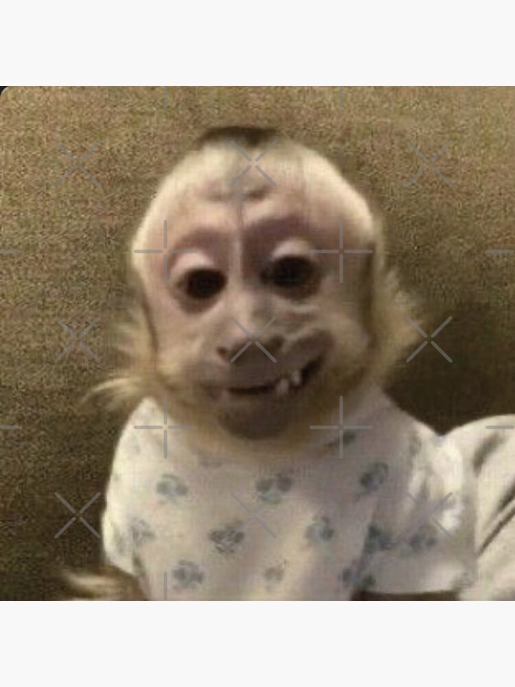 "monkey meme" Poster by sofiaguida | Redbubble