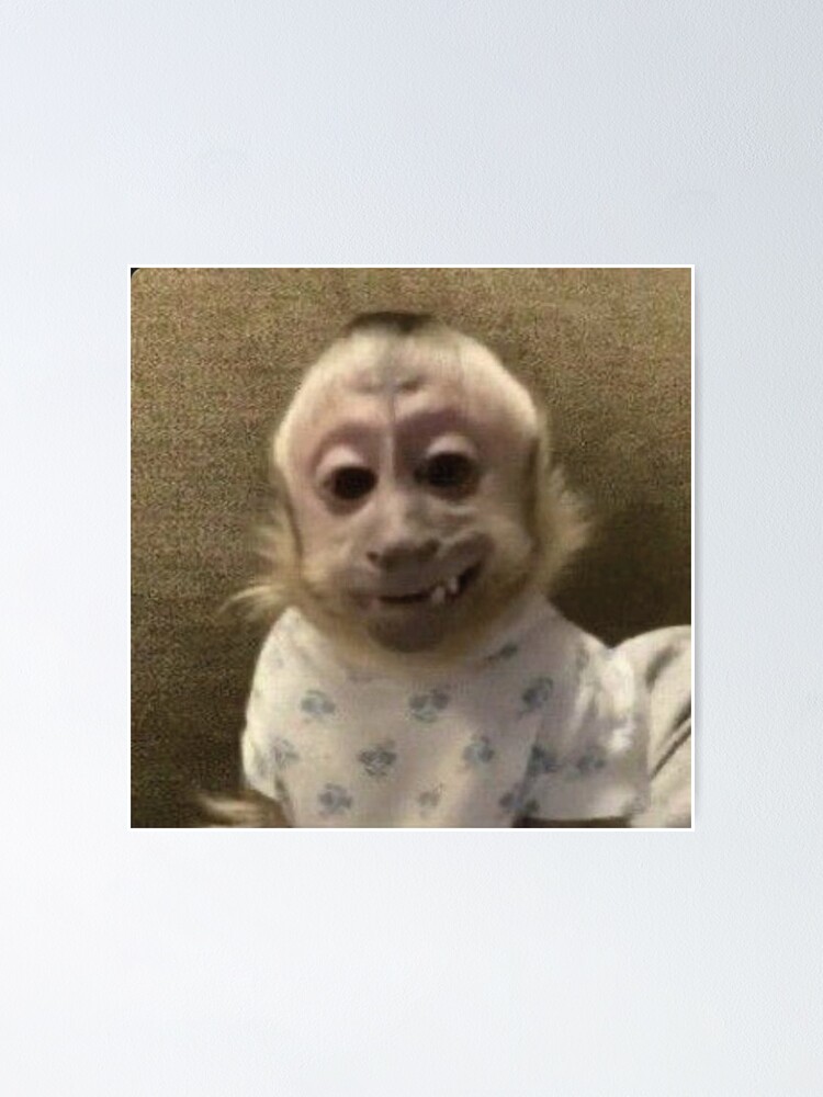 "monkey meme" Poster by sofiaguida | Redbubble