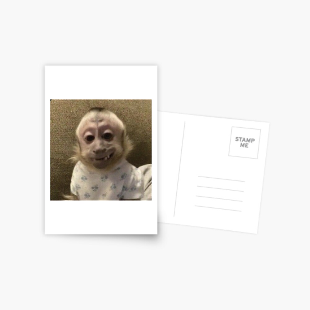 "monkey meme" Sticker by sofiaguida | Redbubble