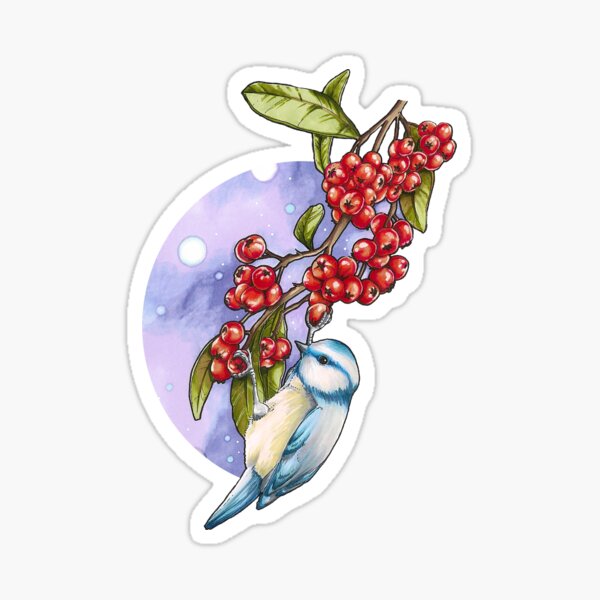 "Parus major" Sticker for Sale by 4ert-a | Redbubble