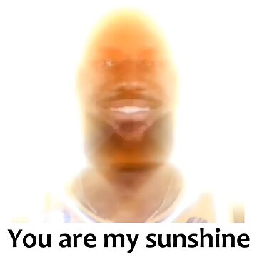 "you are my sunshine" Sticker for Sale by kletersi | Redbubble