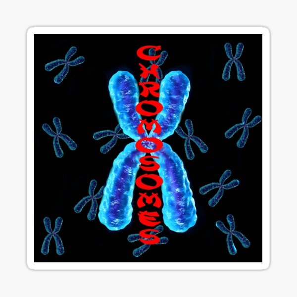 "CHROMOSOMES" Sticker for Sale by vogamark | Redbubble