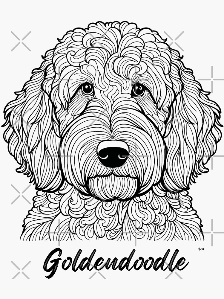 "Line Drawing Goldendoodle " Sticker for Sale by critterpatchusa ...