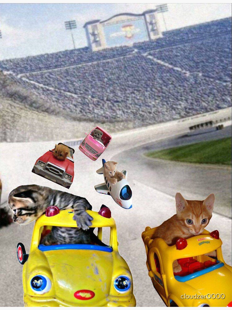 Katze Steht Auf Meme