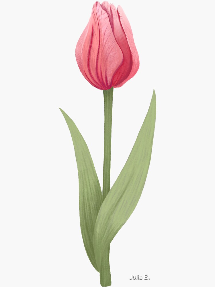 "tulip" Sticker by Julia B. | Redbubble