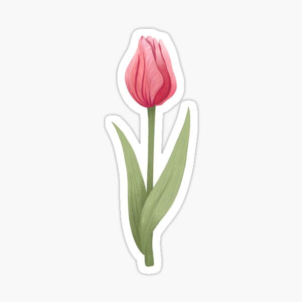 "tulip" Sticker by Julia B. | Redbubble