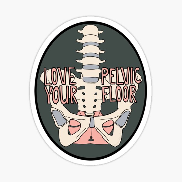 "Love your pelvic floor" Sticker for Sale by carrieshea23 | Redbubble