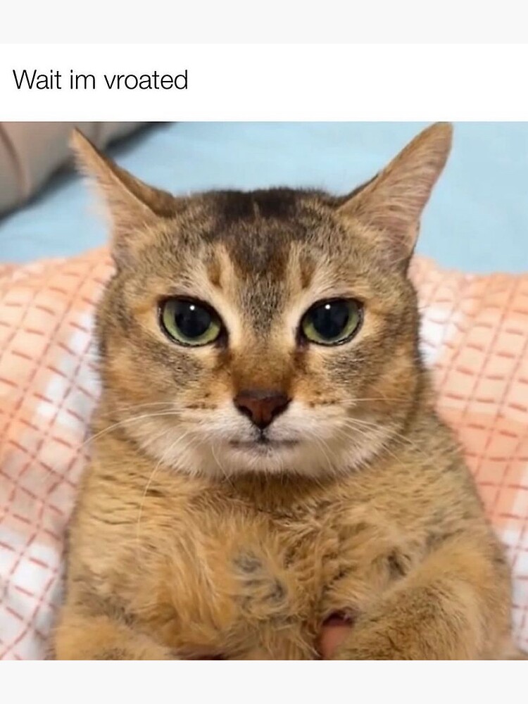 "wait im vroated" Sticker for Sale by marxflame | Redbubble