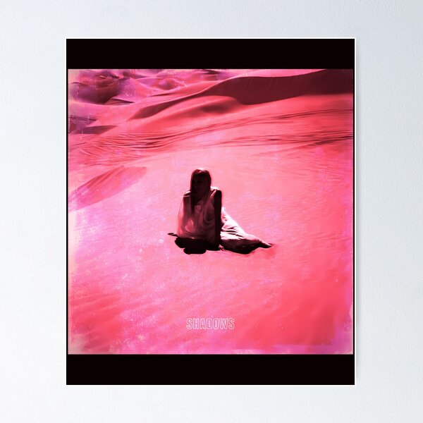 "Cannons Shadows album 2019" Poster by AmbeLapresse | Redbubble