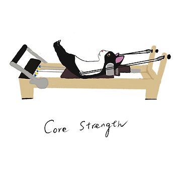 "Doing Pilates hundred on reformer kitty" Sticker for Sale by ...