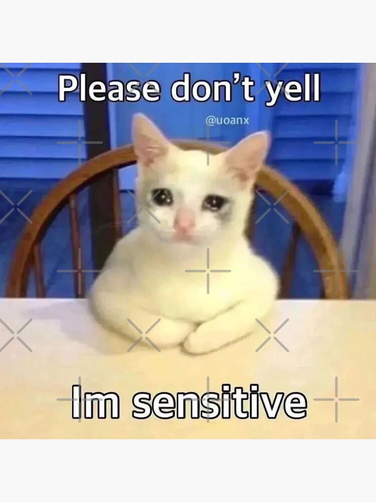 "Please don't yell I'm sensitive CAT MEME" Sticker for Sale by Kyiomi ...