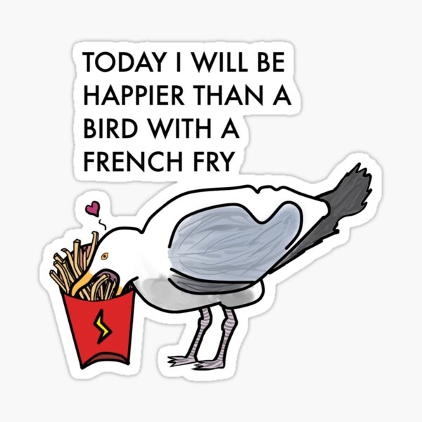 "Gull Given Guidance" Sticker for Sale by jackbattle6 | Redbubble