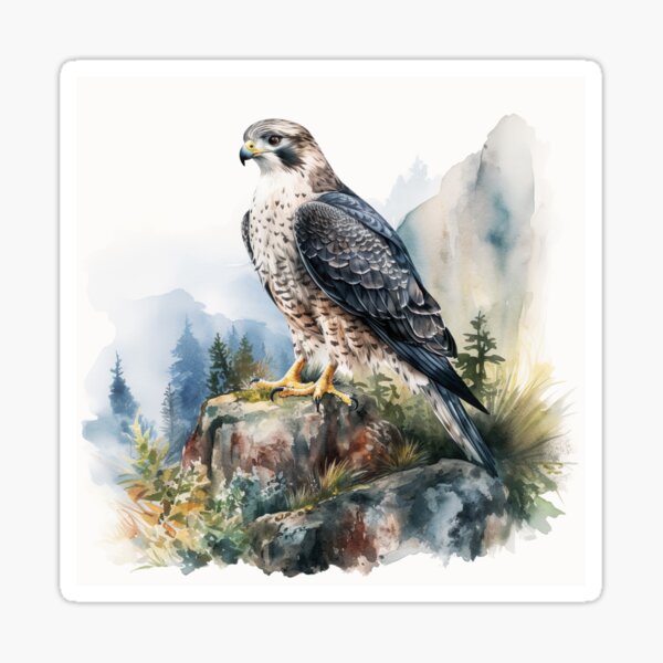 "Watercolor Falcon" Sticker for Sale by TheAnimalZ00 | Redbubble