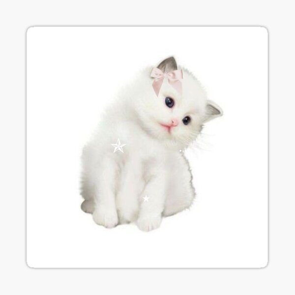 "coquette little cat" Sticker for Sale by viwolfhard | Redbubble
