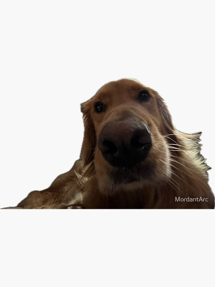 "Piper Snoot" Sticker for Sale by MordantArc | Redbubble