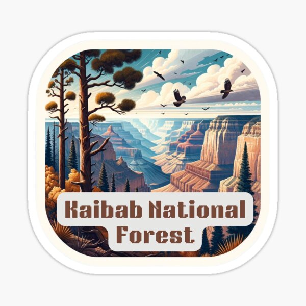 "Kaibab National Forest" Sticker for Sale by ExquisiteIndigo | Redbubble