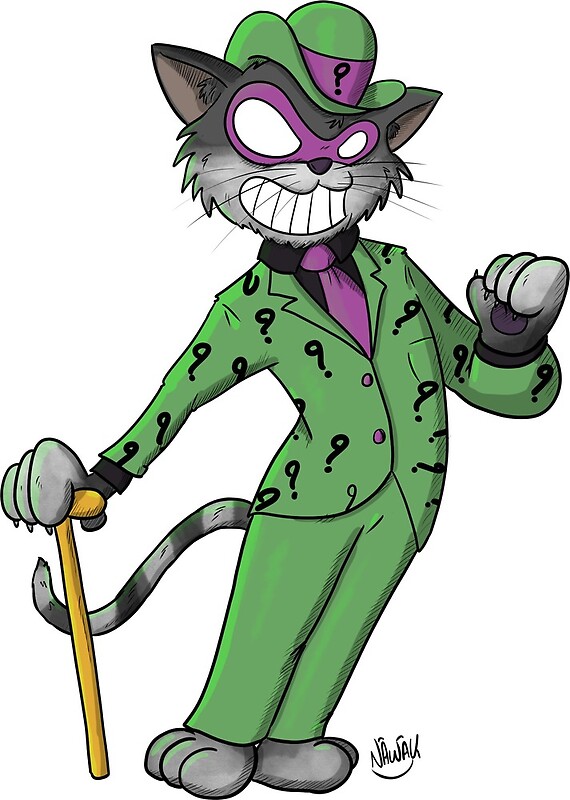 "Enigma Cat - blank background" by nawak | Redbubble