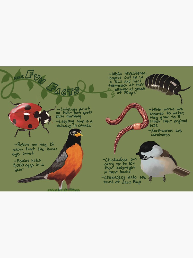 "Fun Facts" Sticker for Sale by buggguy | Redbubble