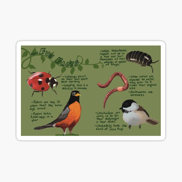 "Fun Facts" Sticker for Sale by buggguy | Redbubble