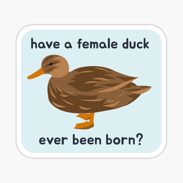 "Female Duck Sans Serif Font" Sticker for Sale by tulipgaming | Redbubble