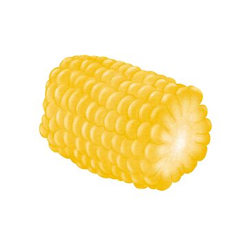 "Sweet Corn" Sticker for Sale by moomeeinus | Redbubble