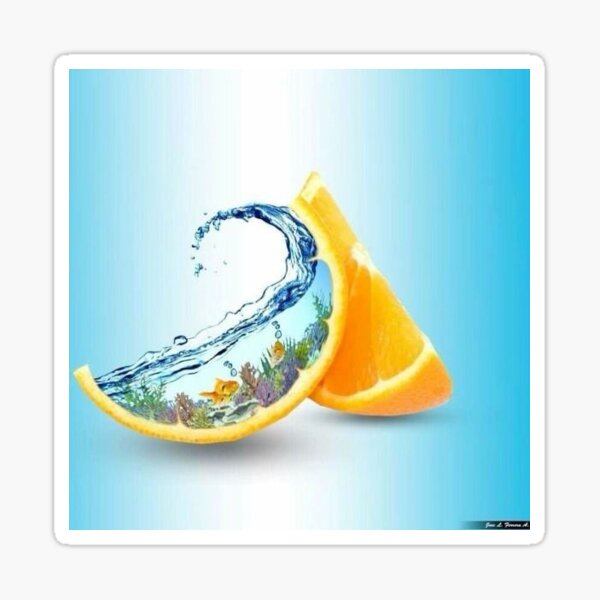 "frutiger aero orange" Sticker for Sale by tiffy r | Redbubble