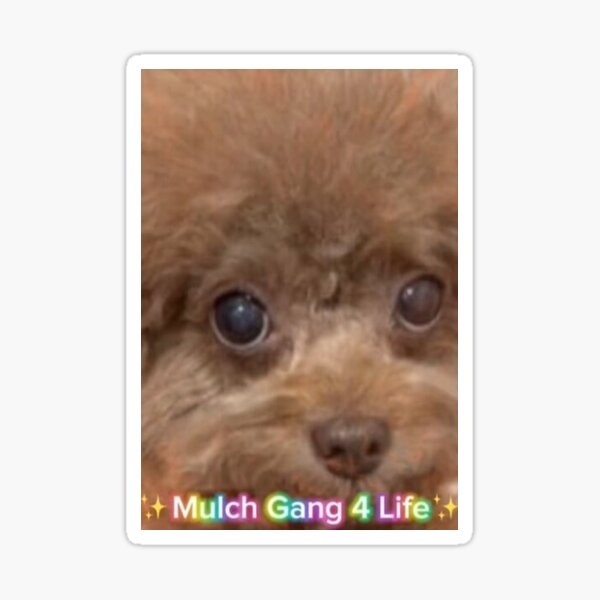 "Mulch Gang 4 Life" Sticker for Sale by JD Designs | Redbubble