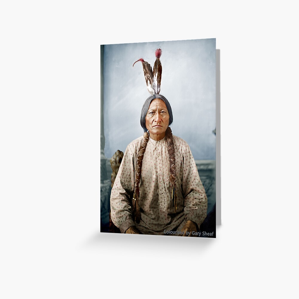 "Sitting Bull" Greeting Card for Sale by agryshraf | Redbubble