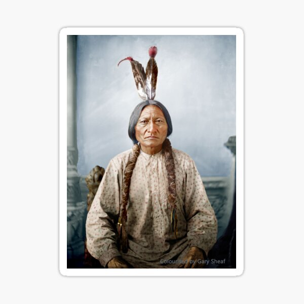 "Sitting Bull" Sticker for Sale by agryshraf | Redbubble