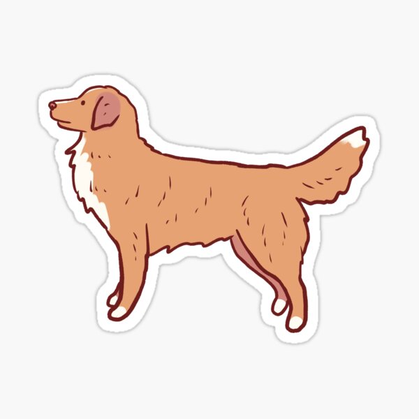"Nova scotia duck tolling dog" Sticker for Sale by Mayarart | Redbubble