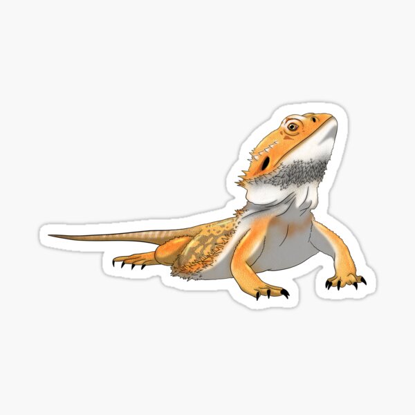 "Bearded Dragon" Sticker for Sale by HauntedHerps | Redbubble