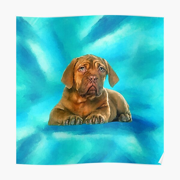 "Dogue de Bordeaux" Poster by k9printart | Redbubble