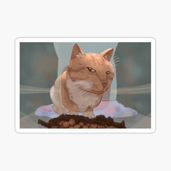 "Mr fresh side eyed cat meme" Sticker by Asutip | Redbubble