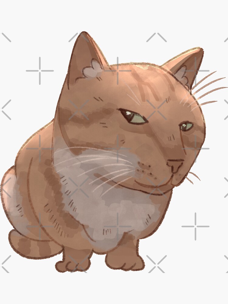 "Mr fresh side eyed cat meme" Sticker by Asutip | Redbubble
