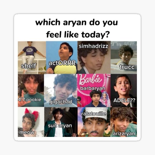"Which Aryan Simhadri Meme" Sticker for Sale by hunnypie-xoxo | Redbubble