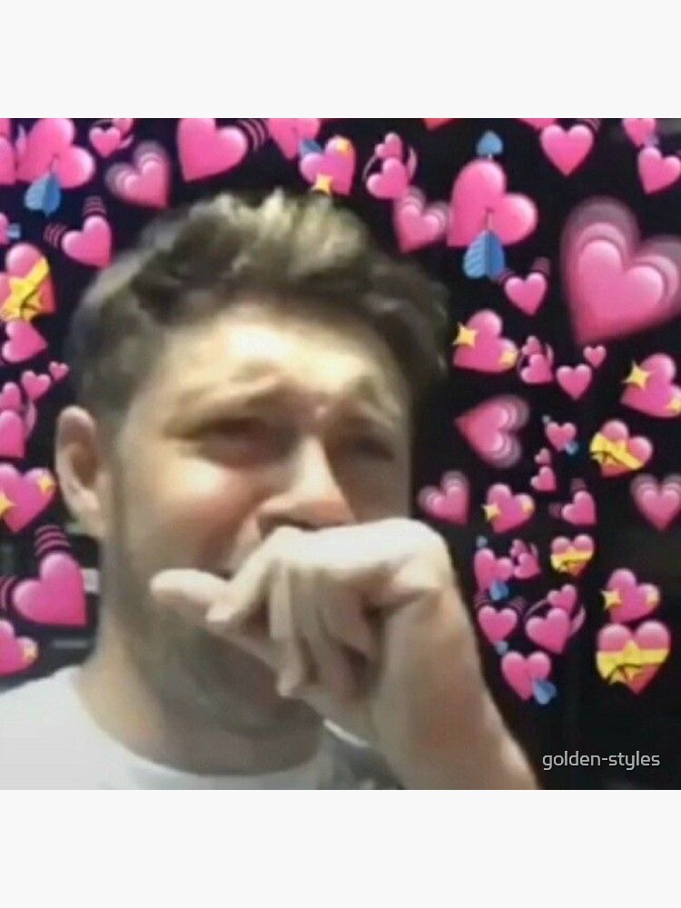 Niall Horan Memes