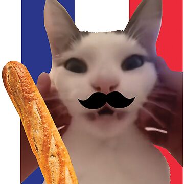 "French cat" Sticker for Sale by Mateusz Janik | Redbubble