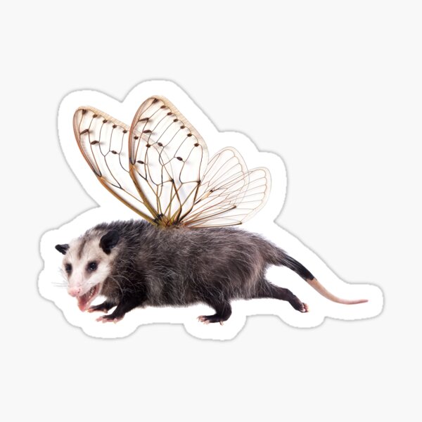 "Cute Possum Fairy | Cottagecore Aesthetic" Sticker for Sale by pixel ...