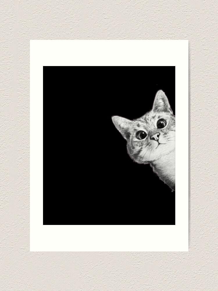 "Funny Ninja Cat Meme" Art Print by PrintPress | Redbubble