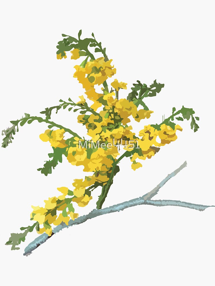 "yellow flowers of Padauk Flower, The National Flower of Myanmar. For ...