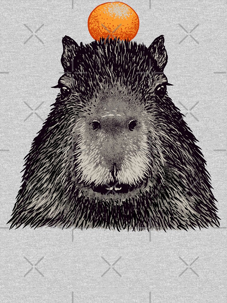 "Capybara Orange | Capy Yuzu | Capybara with Orange on Head | His Name ...