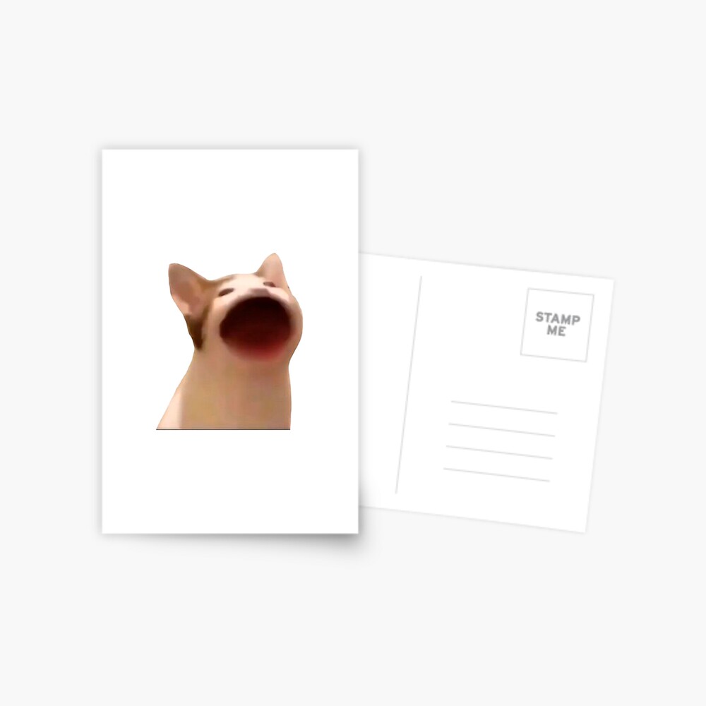"Cat open mouth meme sticker" Sticker for Sale by Alliumcep4 | Redbubble