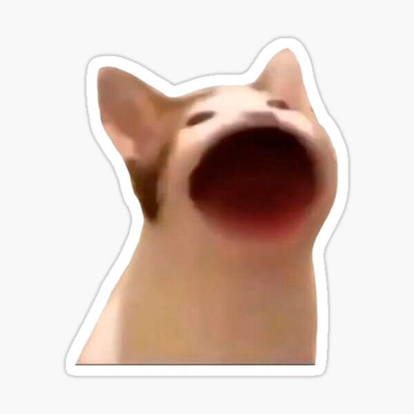 "Cat open mouth meme sticker" Sticker for Sale by Alliumcep4 | Redbubble