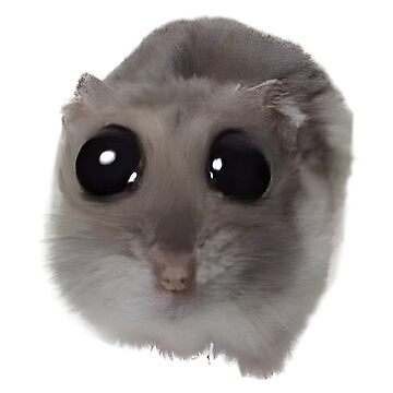 "Tik tok sad hamster" Sticker for Sale by revsdesign | Redbubble
