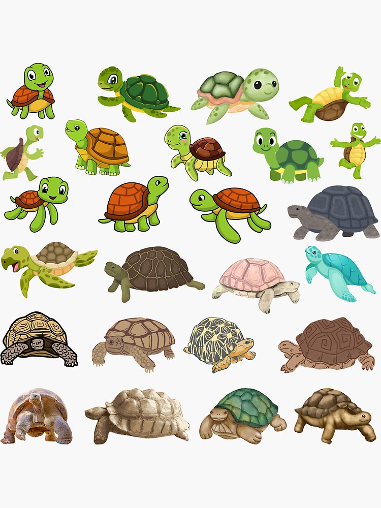 "Turtle Stickers - S1" Sticker for Sale by gao7650 | Redbubble