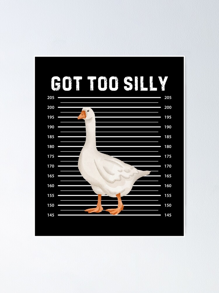 Funny Geese Memes