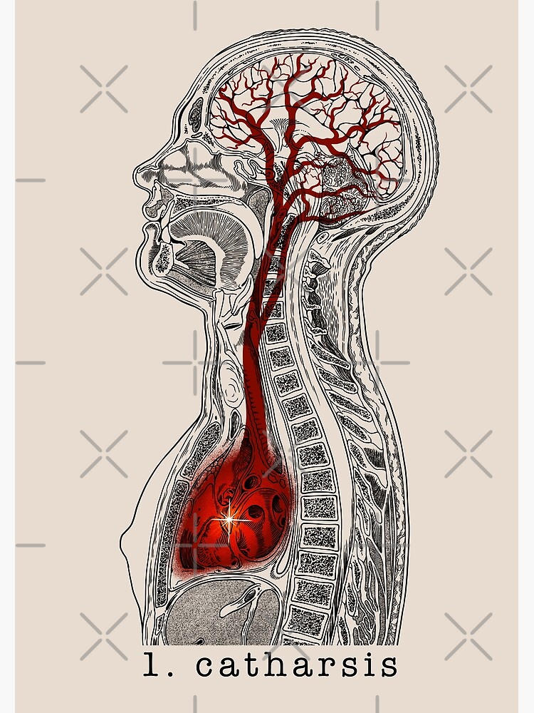 "Catharsis " Poster for Sale by Flamberg | Redbubble