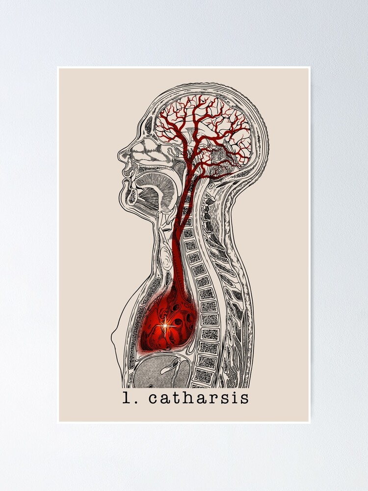 "Catharsis " Poster for Sale by Flamberg | Redbubble