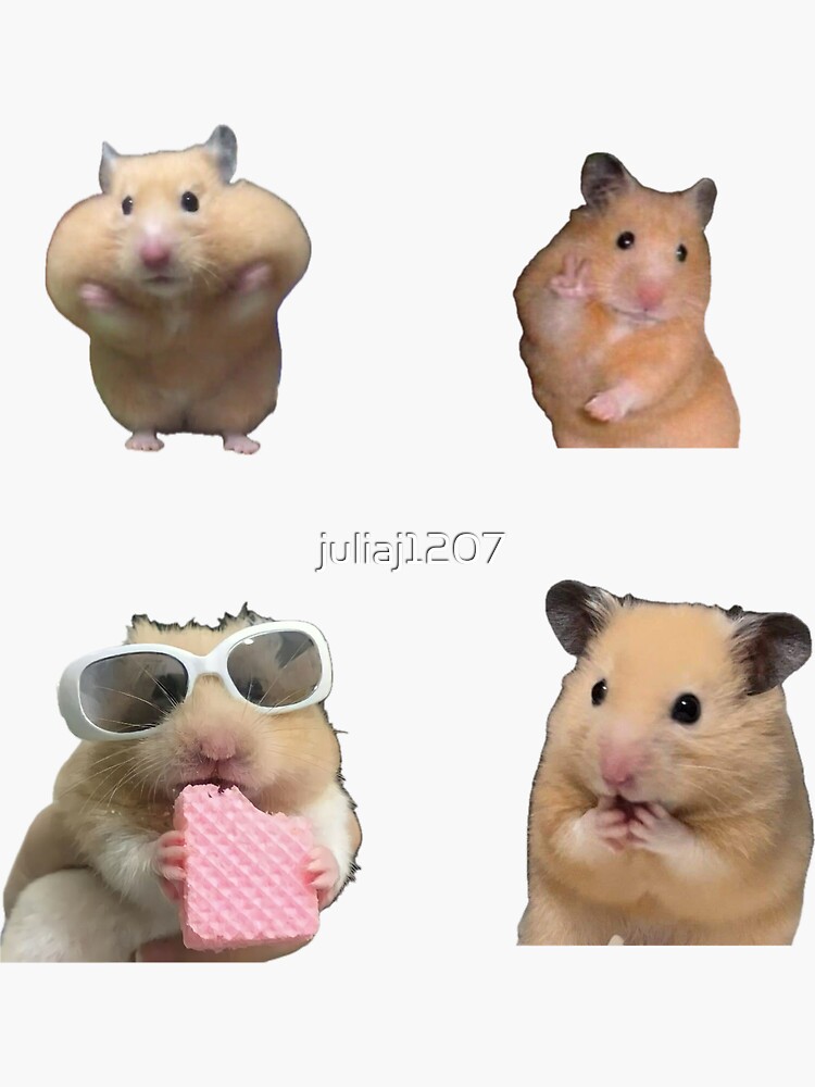 "Hamster Meme Sticker Pack" Sticker for Sale by juliaj1207 | Redbubble